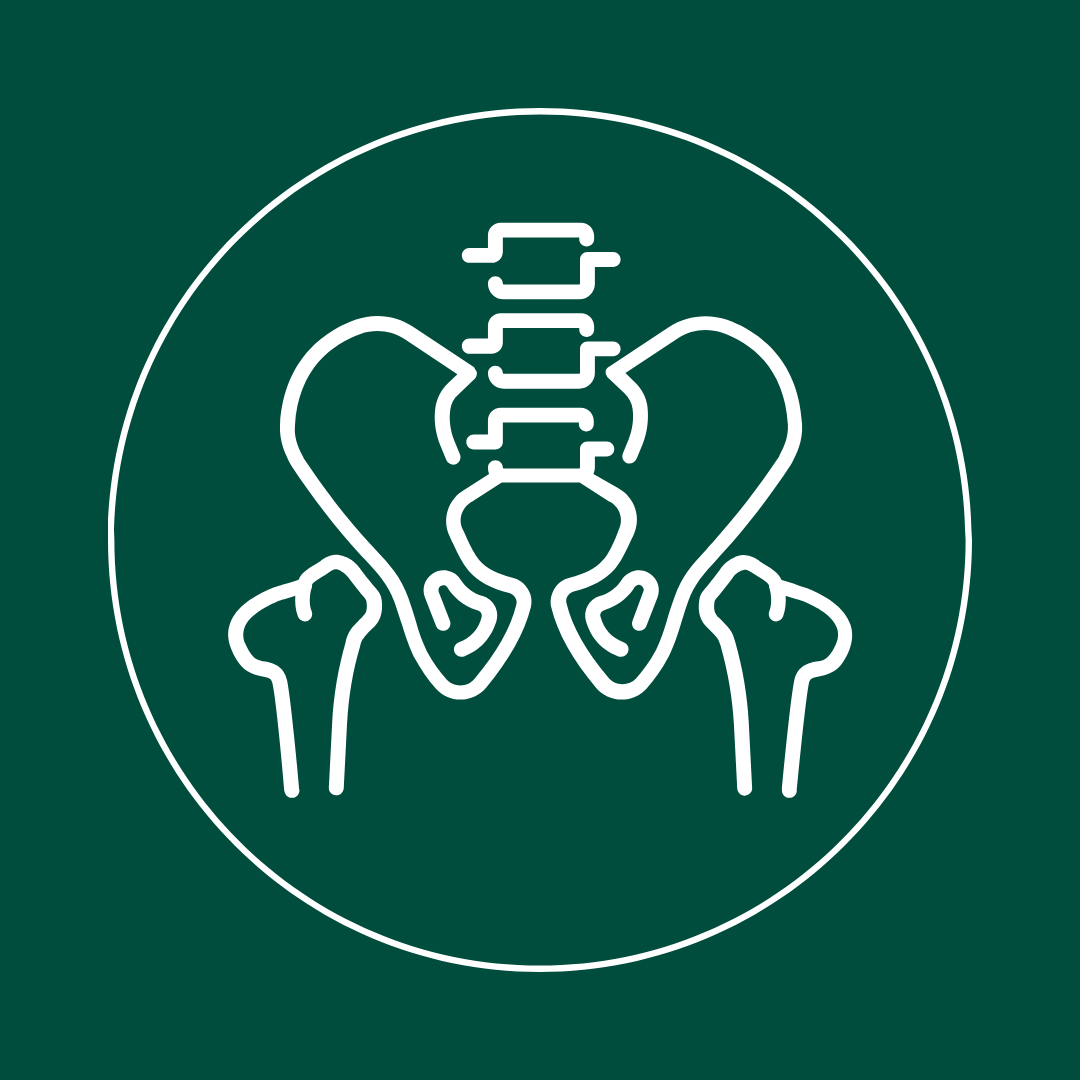 Kruidenproducten voor je botten - Green Vitality